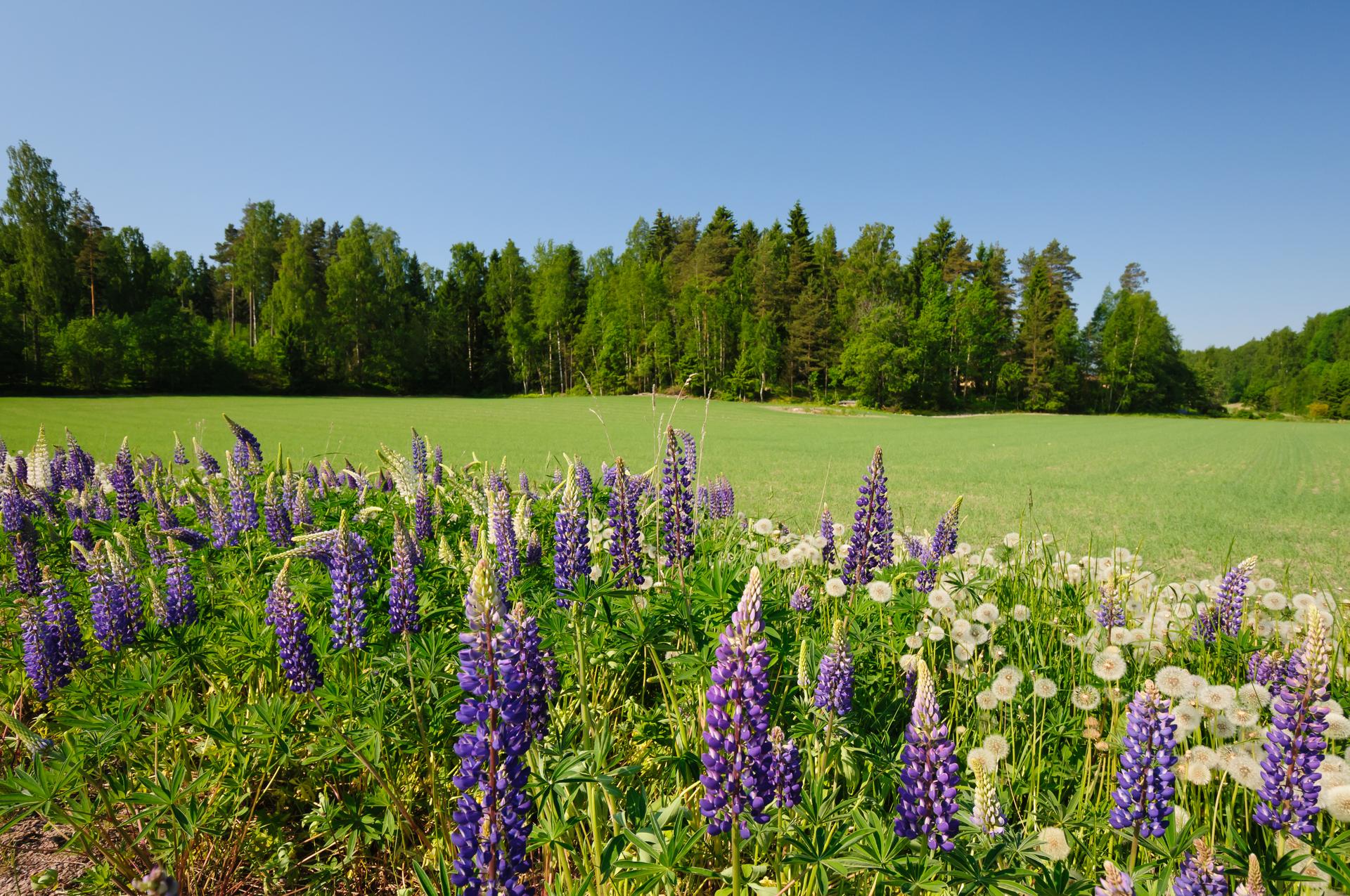 Kuusakoski Recycling - Suomi